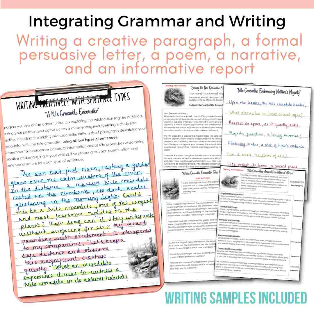 Four Types of Sentences Worksheets No-Prep
