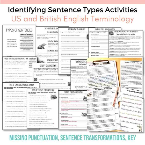 Four Types of Sentences Worksheets No-Prep