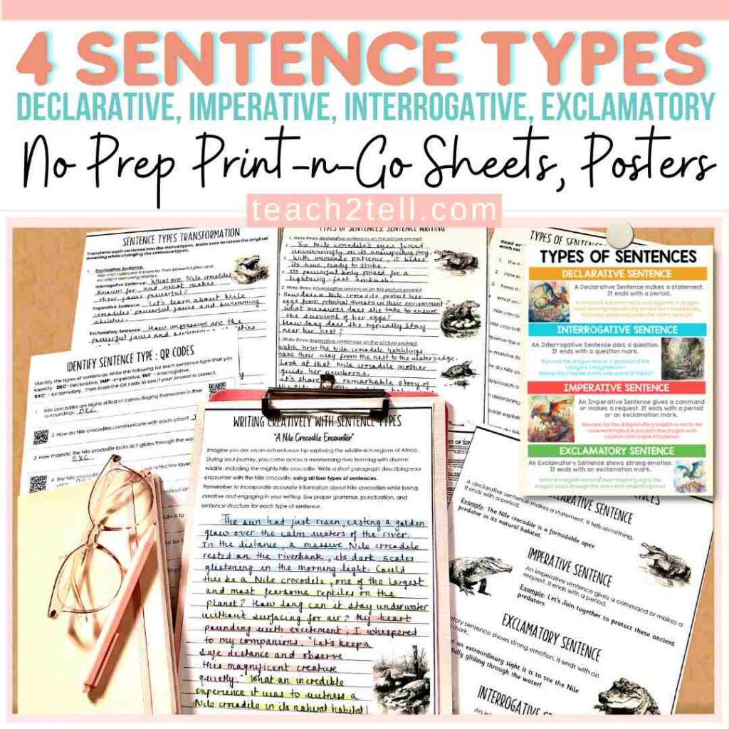 Four Types of Sentences Worksheets No-Prep