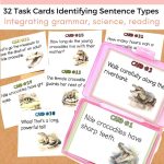 Four Types of Sentences Task Cards