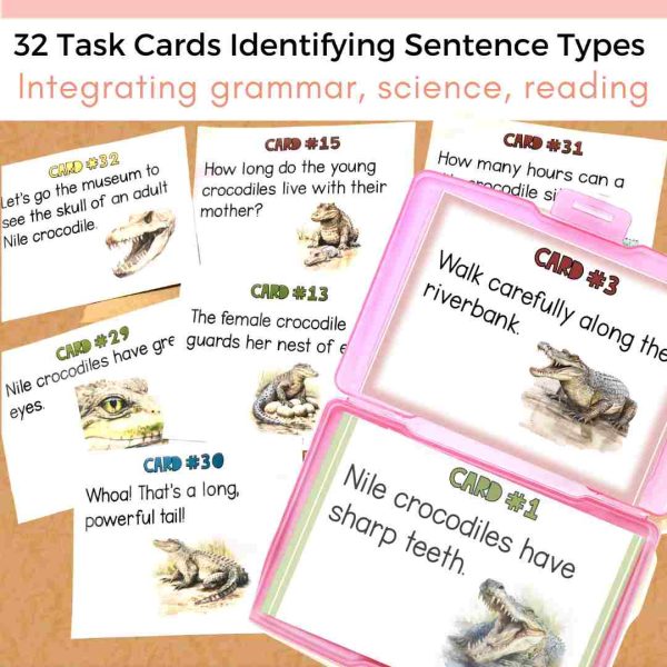 Four Types of Sentences Task Cards