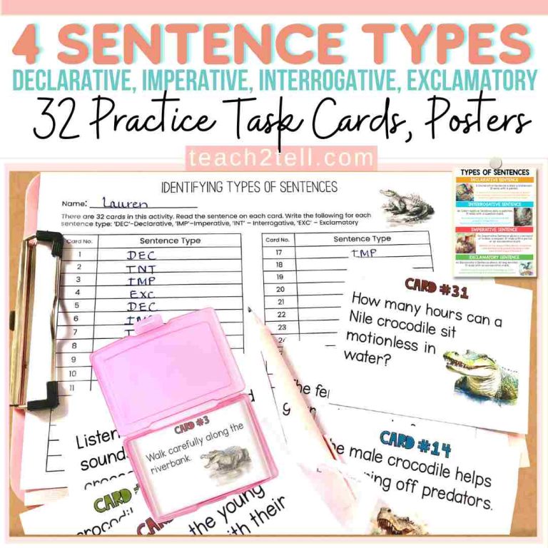 Four Types of Sentences Task Cards