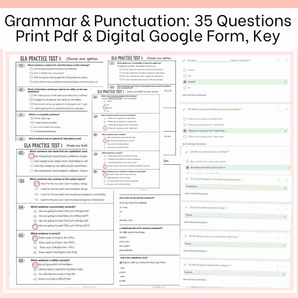 ELA Test Prep 1 Practice Test Language Arts Review Print & Digital