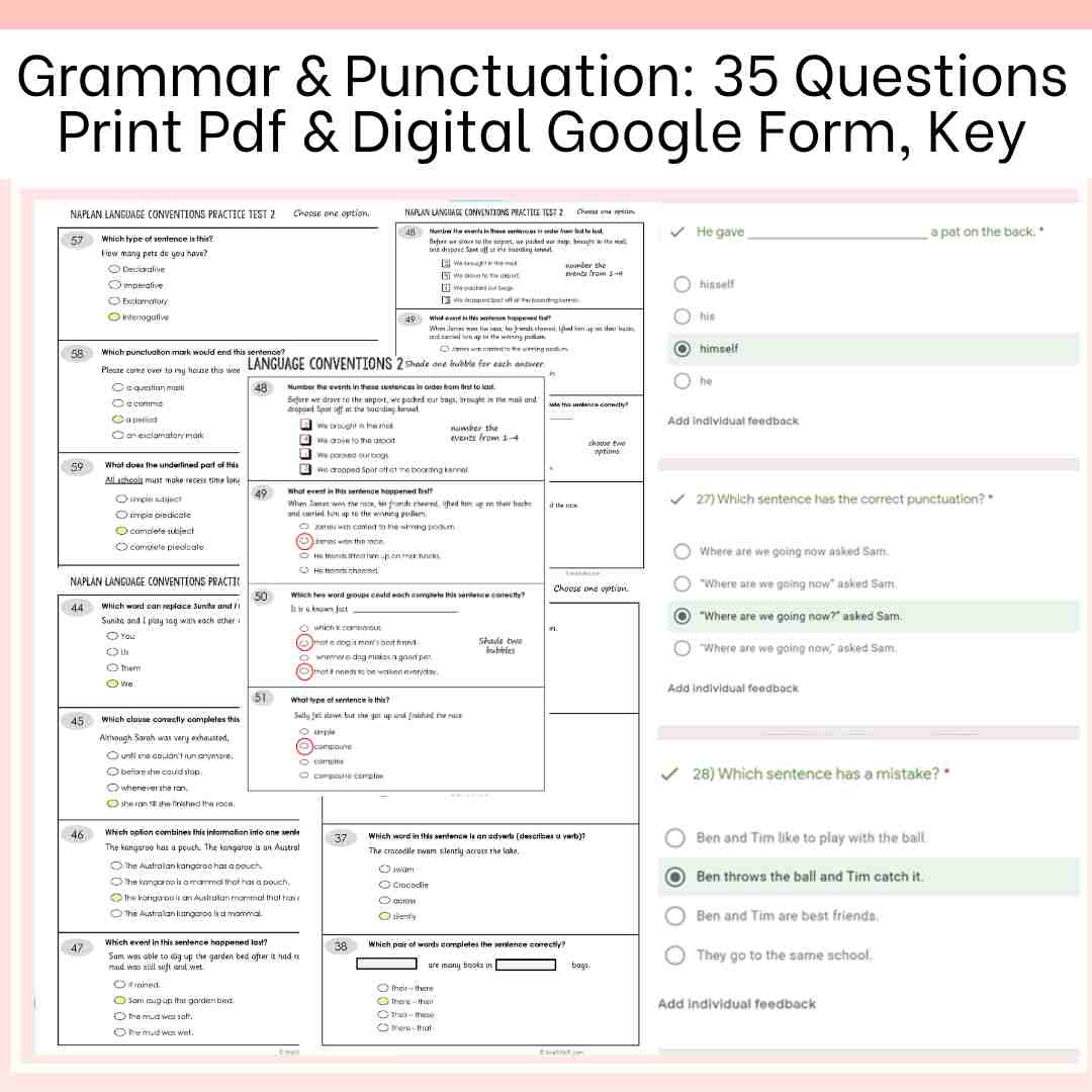 Naplan Language Conventions Year 3, Year 5, Year 7 Tests Proven